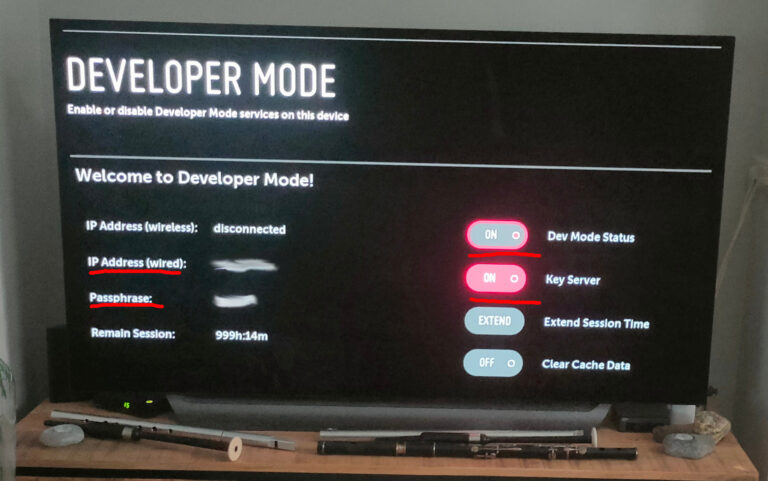 Webos Developer Mode and Homebrew | Prutser